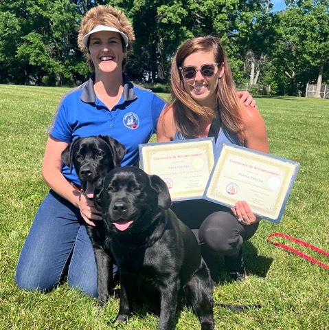 Puppy Obedience Training in Akron, OH | American Caniner